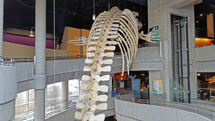 Science North: Sudbury's Less Crowded Alternative To The Ontario ...