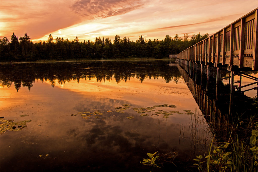 Island Lake Conservation Area: Evening Shots In Springtime