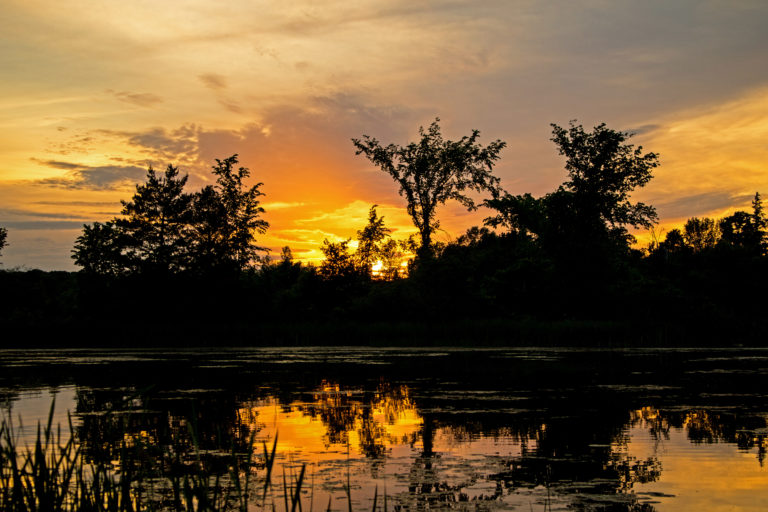 Island Lake Conservation Area: Evening Shots In Springtime